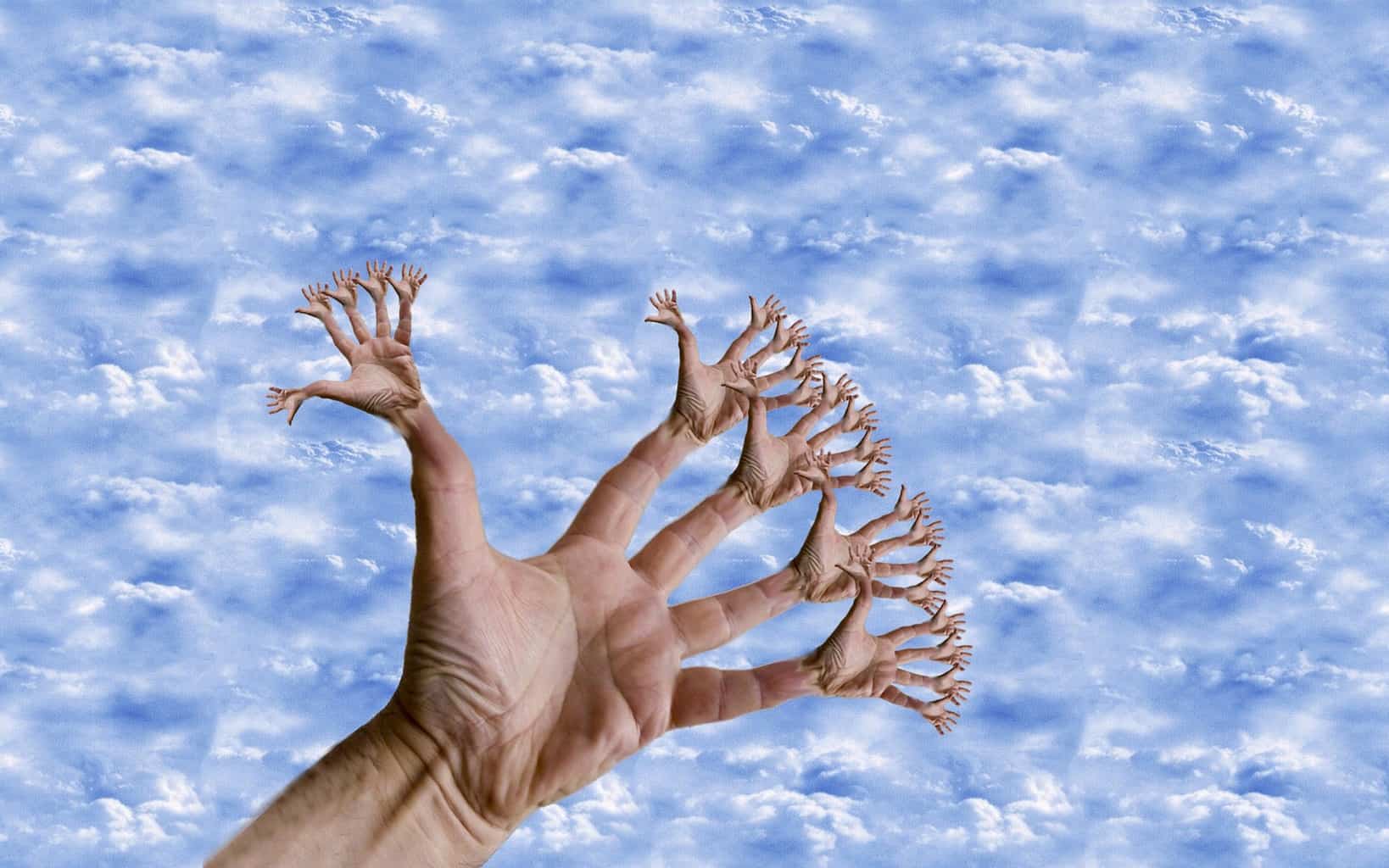Hands on Experience TenderTestes Hands on Experience TenderTestes